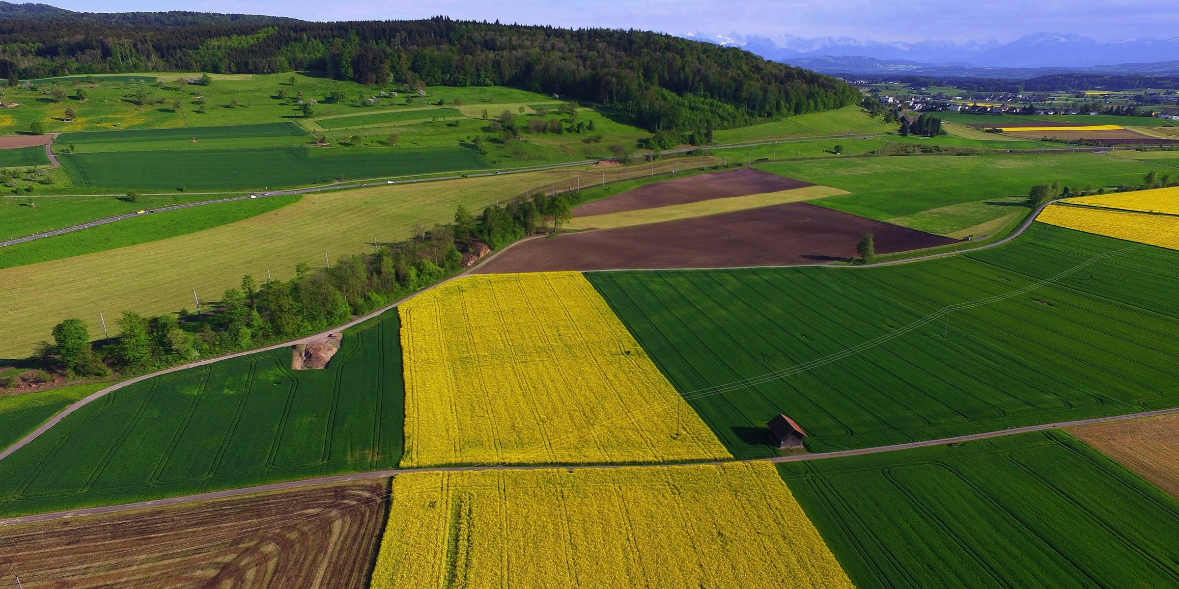 8 Common Inspection Templates in Agriculture industry