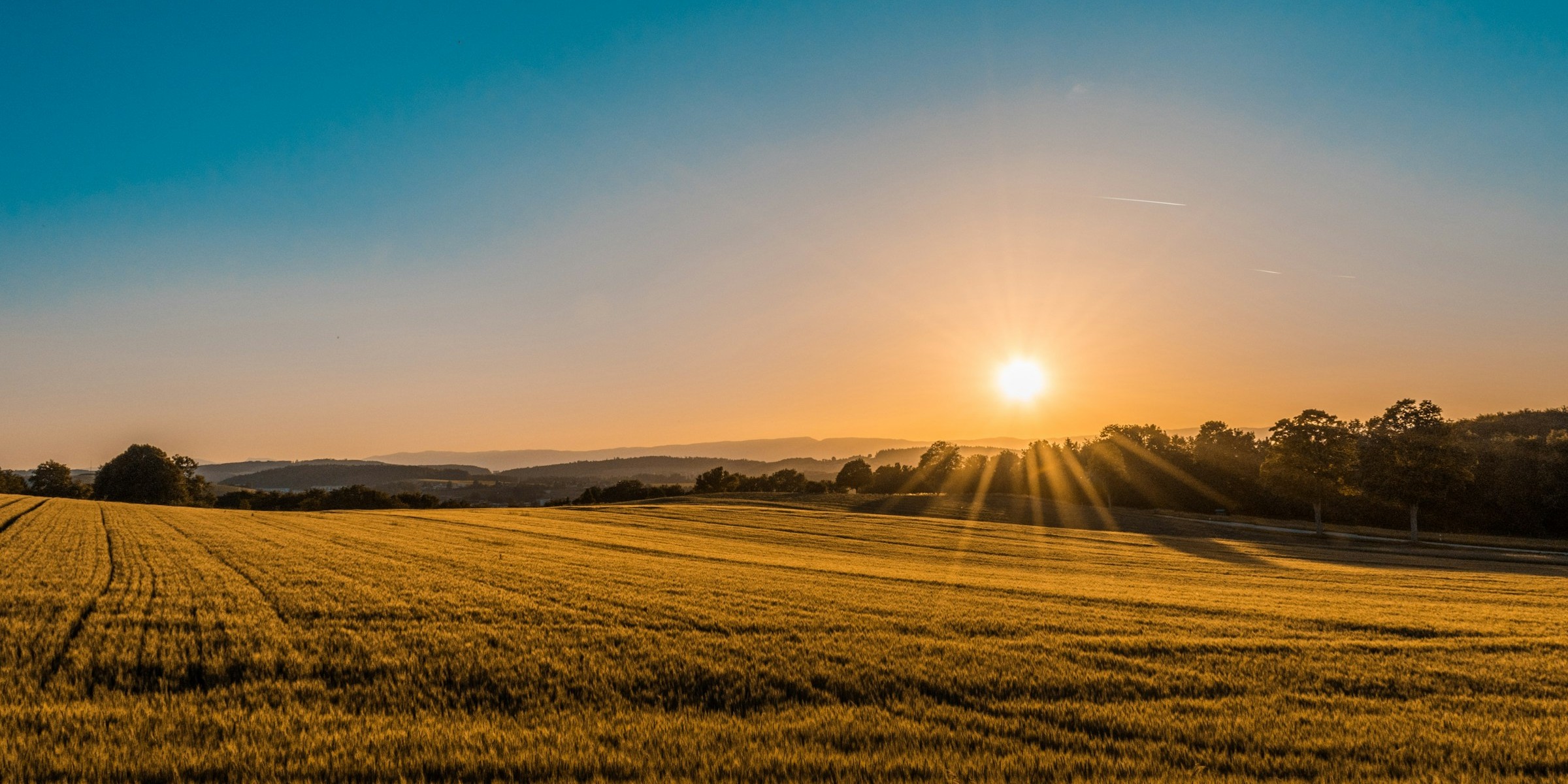 Common Audit Templates in Farming industry