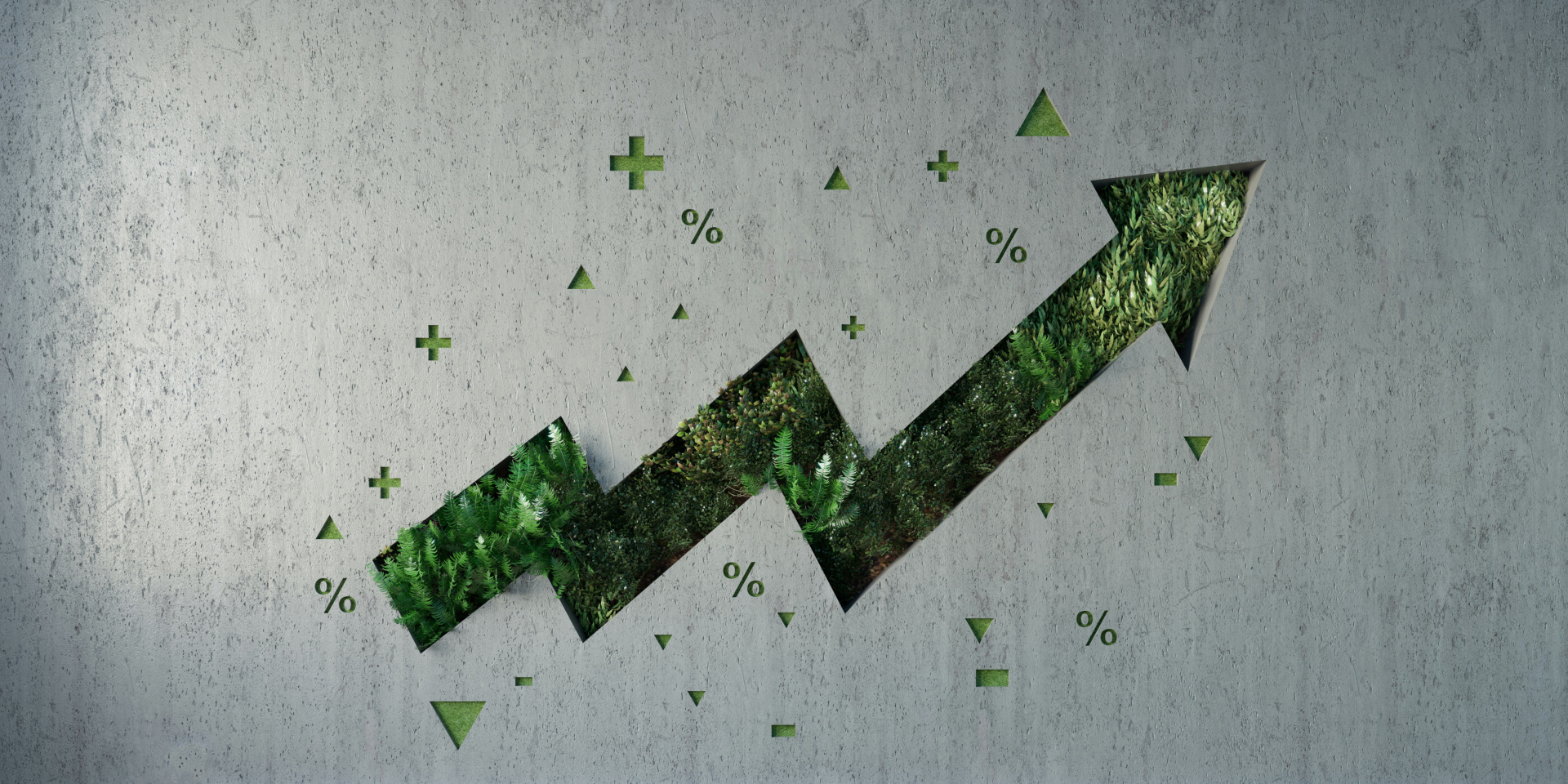 Carbon Footprint Reporting | How to Reduce Emissions in Shopping ...