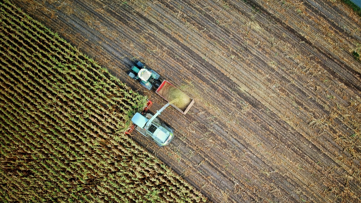 12 Most Common Near Misses in Agriculture and Farming